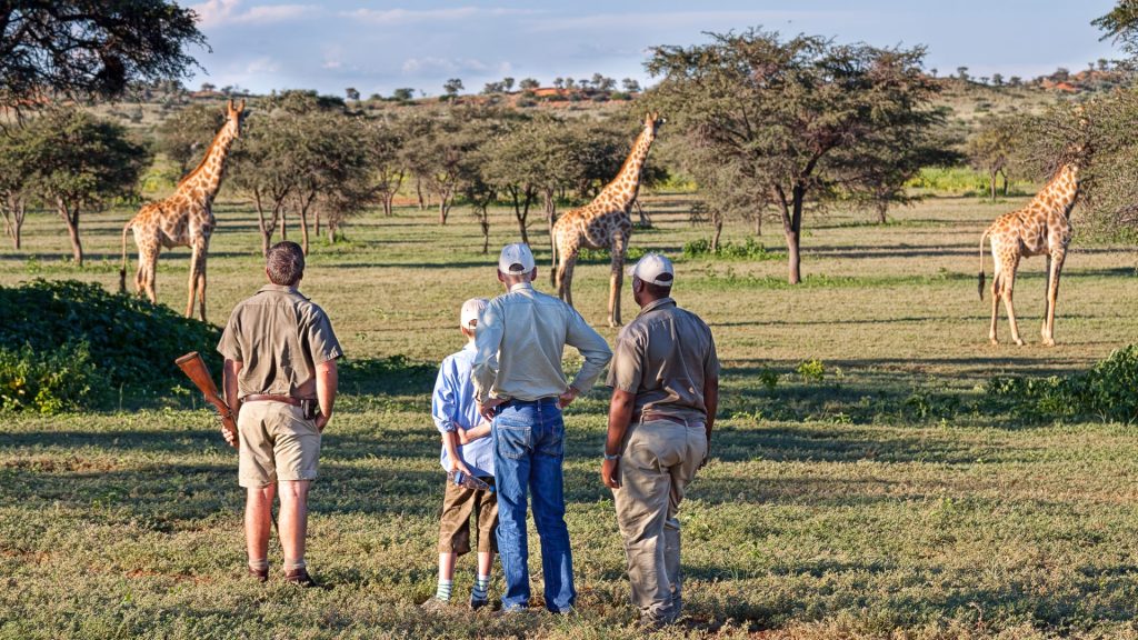 Central Safari Discovering Nature's Marvels in Cape Town Central Safari Discovering Nature's Marvels in Cape Town